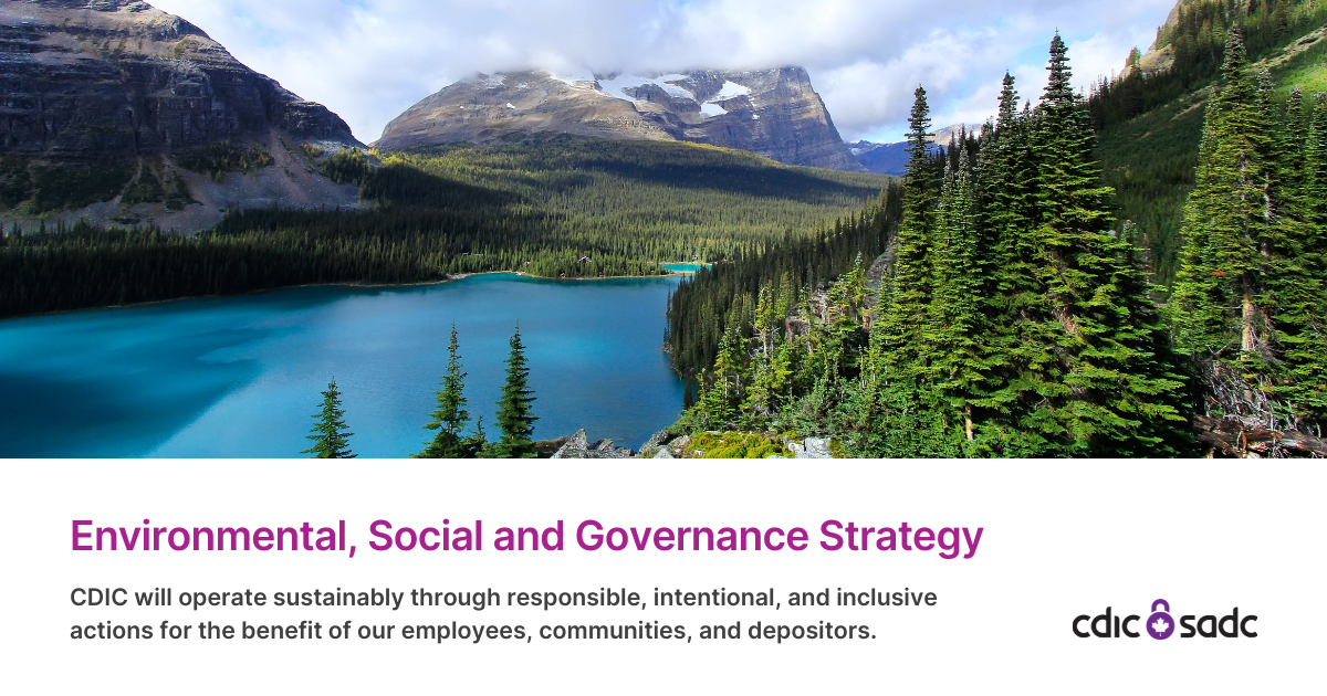 Environmental, social and governance strategy — CDIC